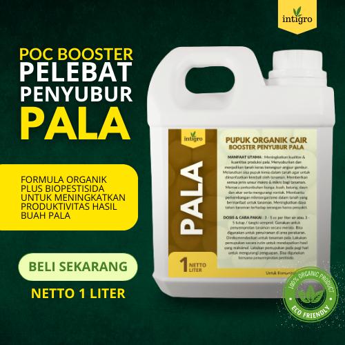 Jual Pupuk Pala Agar Berbuah Lebat Pupuk Pala Yang Bagus Pupuk Buah ...