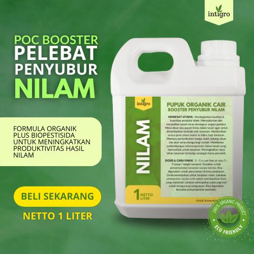 Jual 1 Liter Pupuk Nilam Organik Penyubur Tanaman Daun Batang Nilam ...