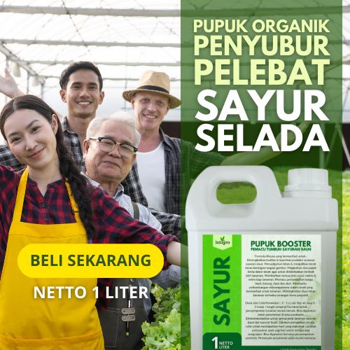 Jual 1 Liter Pupuk Nutrisi Untuk Tanaman Sayuran Selada Hidroponik ...