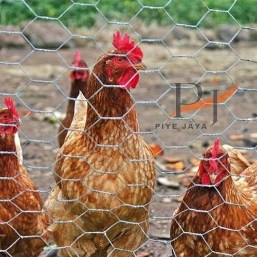 Jual Kawat Jaring Ram Pagar Kandang Kurungan Ayam Kelinci Galvanis ...