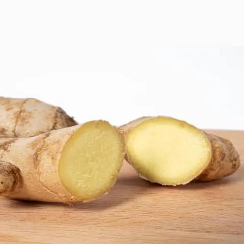 Jual JAHE GAJAH ATAU JAHE BESAR 1KG - Kab. Pekalongan ...