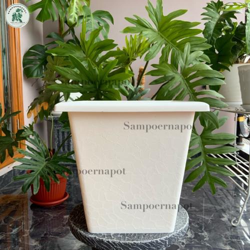 Promo POT BUNGA TANAMAN KOTAK TINGGI ROSA 45 PUTIH - BJ ROSA 45SG PUTIH ...