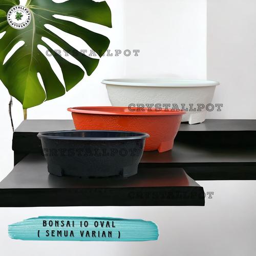 Promo Pot Bunga Tanaman Bonsai 10 Oval 50 Cm Bahan Tebal - BJ BONSAI ...