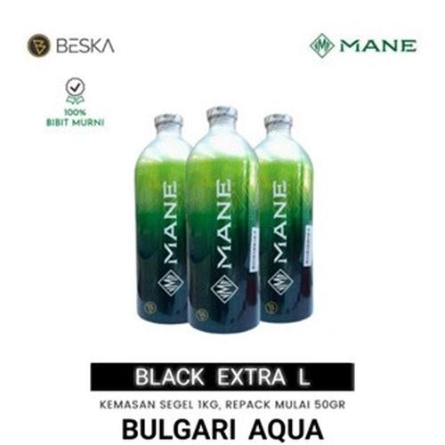 Jual BIBIT PARFUM MANE BLACK EXTRA L [1KG SEGEL] - Kota Mojokerto - BEP ...