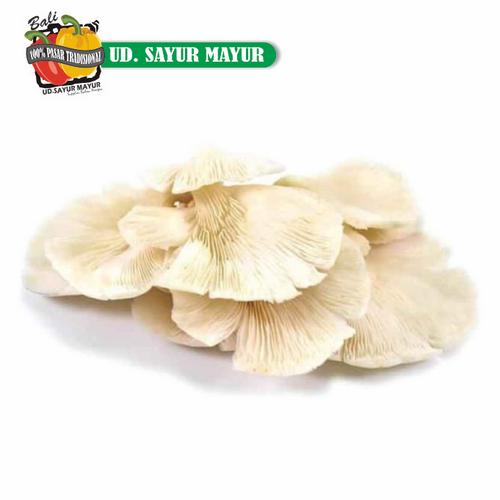 Jual jamur tiram - 1kg - Kota Denpasar - UD Sayur Mayur Bali | Tokopedia