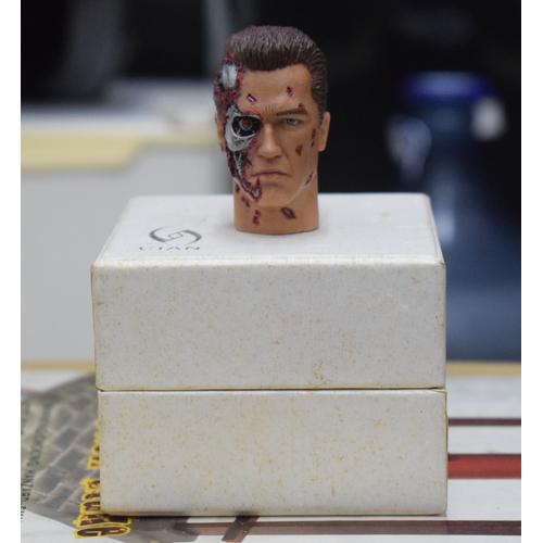 Jual 1/6 Scale Terminator Arnold Half Damage Head Sculpt - Jakarta ...