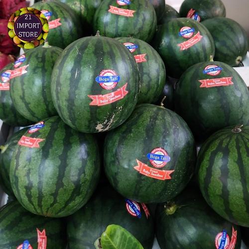 Jual Semangka Baby Sweet Boga tani | Buah Semangka Boga Tani Seedless ...