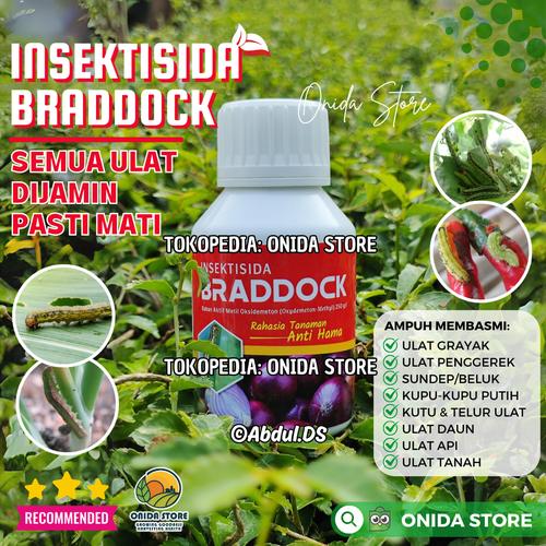 Jual BRADDOCK INSEKTISIDA - PENGENDALI HAMA ULAT GRAYAK, WERENG, SUNDEP ...