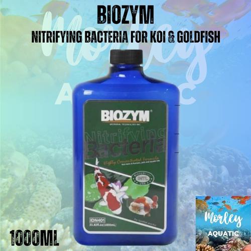 Jual BIOZYM Nitrifying Bacteria Highly Concentrate Formula for Goldfish & Koi Bakteri Starter ...