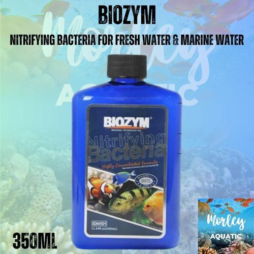 Jual BIOZYM Nitrifying Bacteria Highly Concentrate Formula for ...