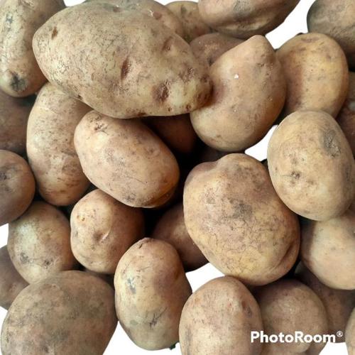 Jual kentang dieng besar 1kg - Kab. Tangerang - indohome22 | Tokopedia