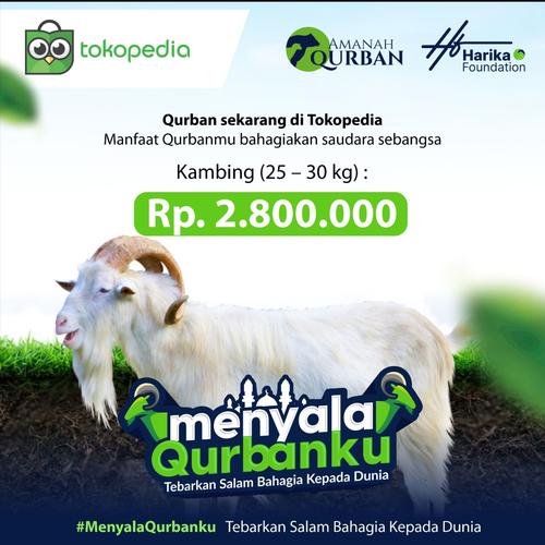Promo Kurban Kambing Nasional - Amanah Qurban - Jakarta Selatan - Harika Foundation Official ...