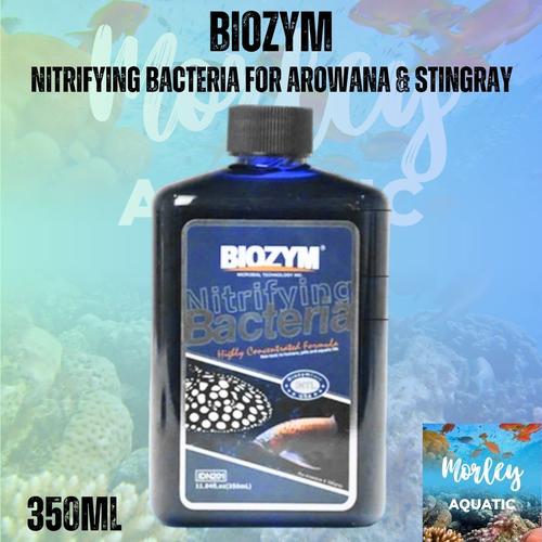 Jual BIOZYM Nitrifying Bacteria Highly Concentrate Formula for Arowana ...