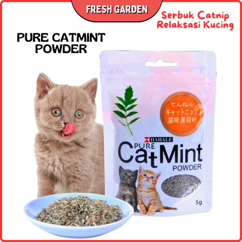 Jual Catnip Camilan Kucing Catmint Menthol Snack Makanan Cat Kitten ...