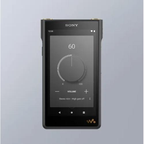 Jual Sony WM1AM2 Walkman Digital Media Player with S-Master HX ...