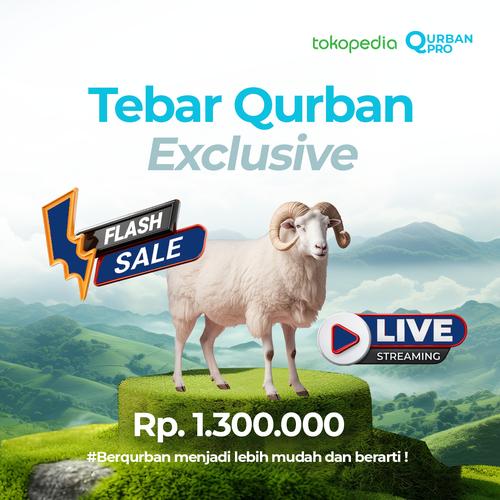 Jual Tebar Qurban - Kurban Domba Kambing Sapi Exclusive - Betina +-15 KG - Jakarta Timur ...