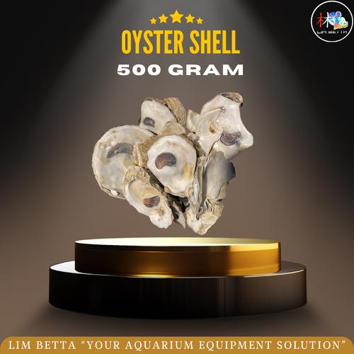 Jual OYSTER SHELL 500 GRAM KULIT KERANG SUPER GRADE MEDIA FILTER ...