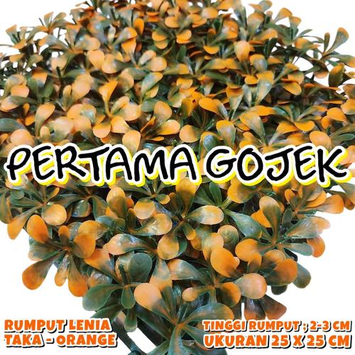 Jual Rumput Sintetis/Rumput Tempel/Rumput Dinding/Rumput Plastik TAKA ...