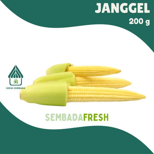 Jual Janggel / Jagung Muda / Baby Corn 250 gram - SEMBADA FRESH ...