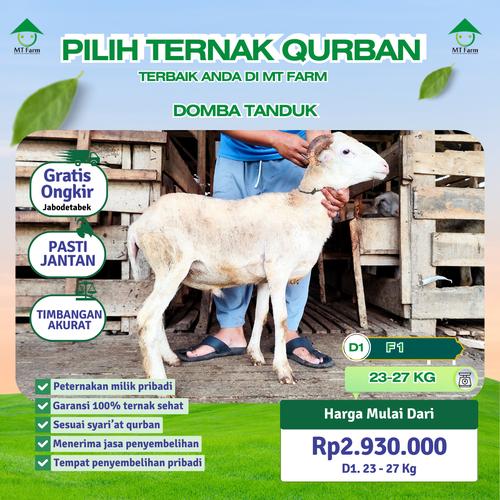 Jual Qurban Domba Tanduk Paket Qurban Hewan Qurban MT Farm - D1 23-27 KG - Kab. Bogor - MT Farm ...