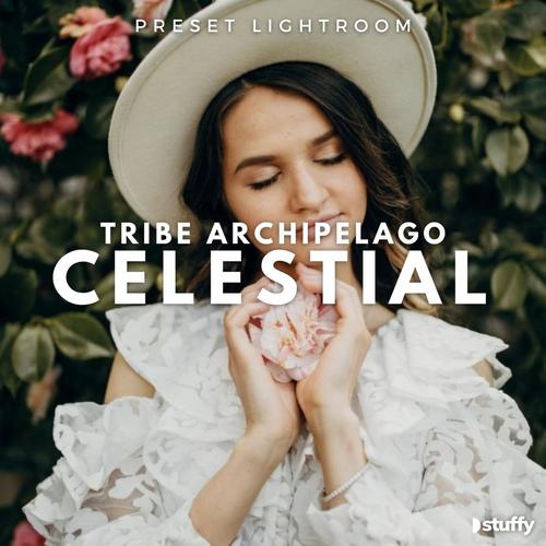 Jual Premium LR - Tribe Archipelago Celestial Untuk Android IOS PC - Kota Denpasar - diubud ...