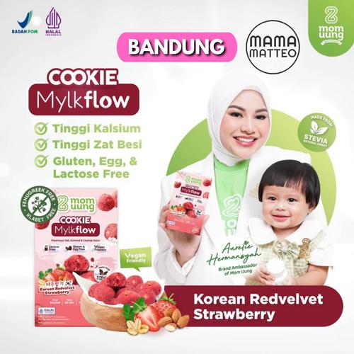 Promo MOM UUNG Cookies Mylkflow Rich Belgian Choco Korean Red Velvet ...