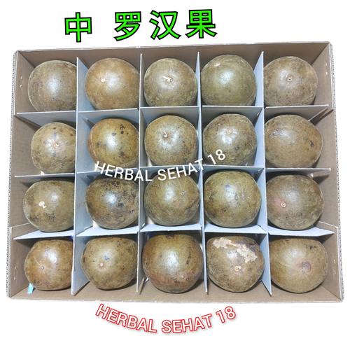 Jual 1 Box Isi 20 Buah Lohanko Luohanko Luo Han Guo Lo Han Ko Ukuran ...
