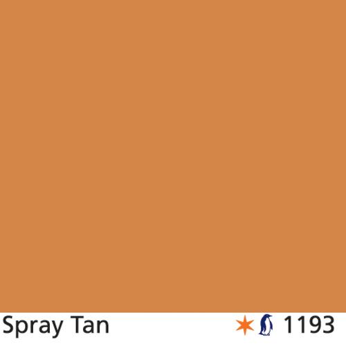 Jual CAT TEMBOK INTERIOR DAN EKSTERIOR JOTUN - SPRAY TAN/1193 ...