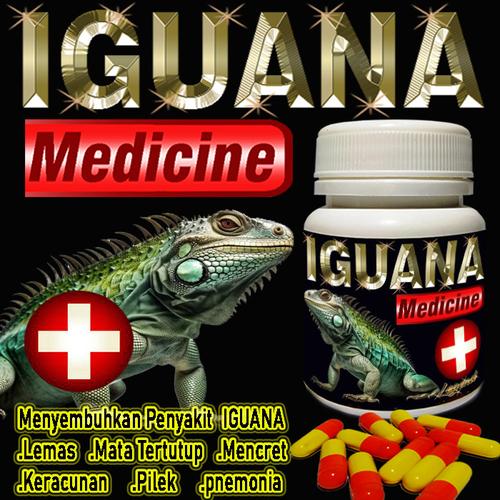 Promo IGUANA MEDICINE OBAT IGUANA LEMAS TIDAK NAFSU MAKAN MATA TERTUTUP KERACUNAN TIDAK NAFSU ...