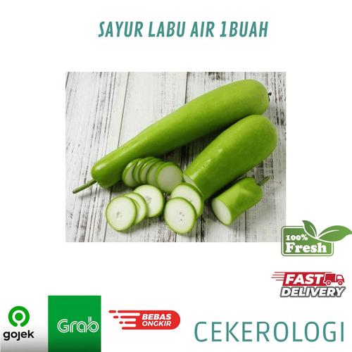 Jual Sayur Labu Air 1buah / Sayur Labu Air / Labu Air / JABODETABEK ...