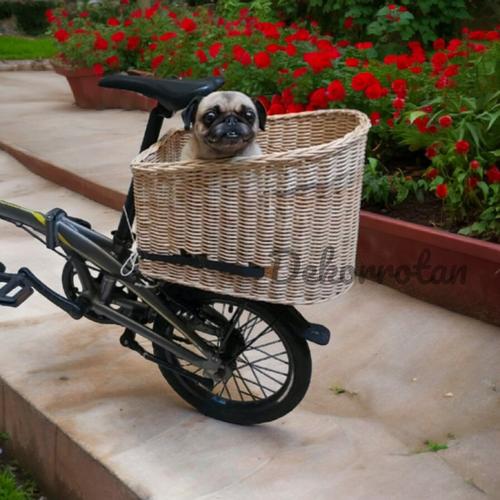 Jual keranjang sepeda motor rotan belakang depan besar untuk kucing ...