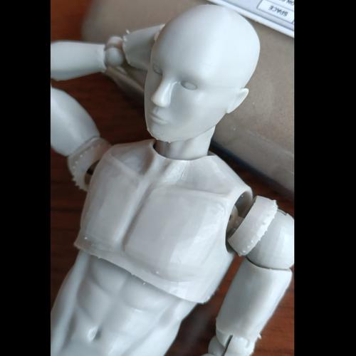 Jual Action Figure Model Male Body artificial anatomically correct ...