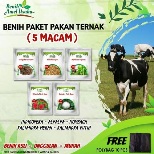 Jual 5 Macam Benih pakan ternak lengkap benih indigofera super / benih ...