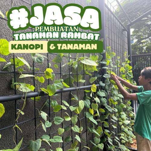 Jual Paket Pemasangan tanaman hias rambat pagar Jakarta - Jakarta Barat ...