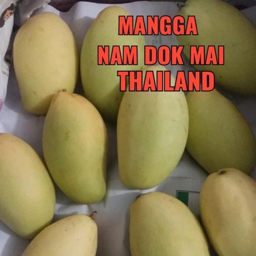 Jual Mangga kiojay | mangga thailand | mangga bangkok - Kiojay - 1 kg ...