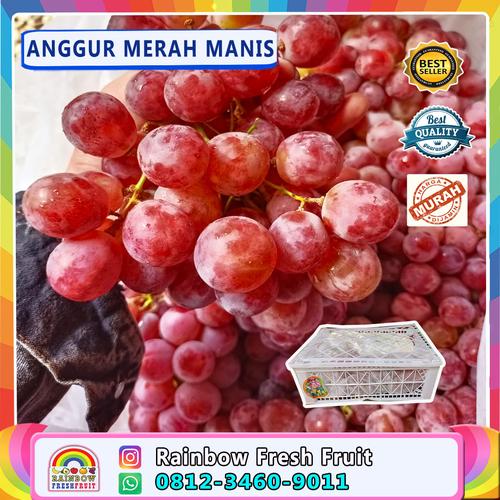 Jual BUAH ANGGUR MERAH 1 BOX MANIS SEGAR TERLARISSS - Kota Surabaya ...