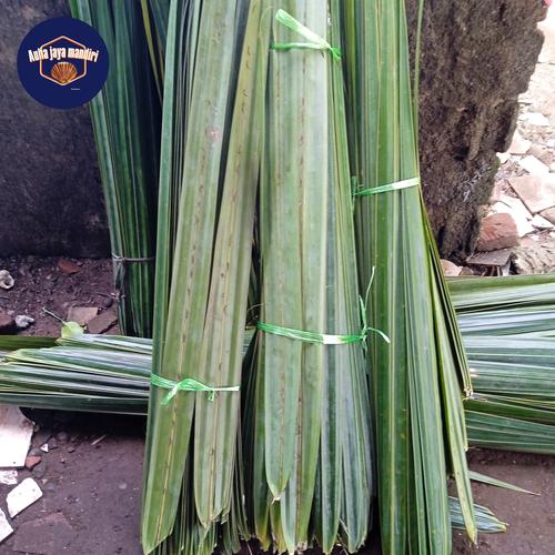 Jual Daun nipah atap Dahon Rumbia,Lembaran/gulung,500g) - Kab ...