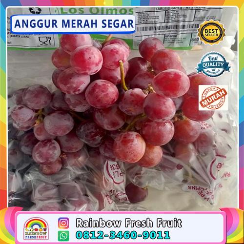 Jual BUAH ANGGUR MERAH 1 KG SEGAR RENYAH TERLARIS MEWAH - Kota Surabaya ...