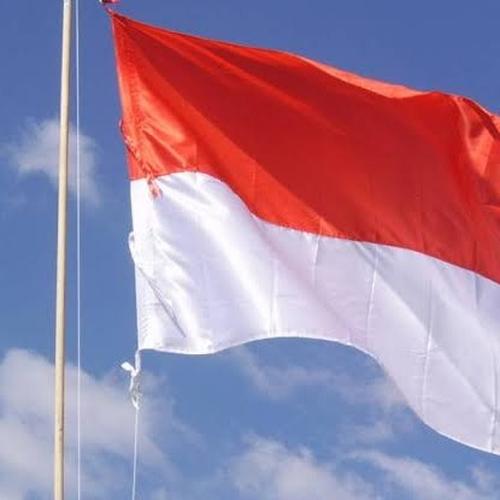 Jual bendera merah putih kain bendera indonesia/bendera - Jakarta Barat ...