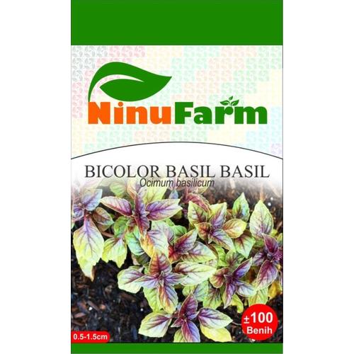 Jual BENIH BASIL DUA WARNA - BICOLOR BASIL - NINUFARM - 100 BUTIR - Kab ...