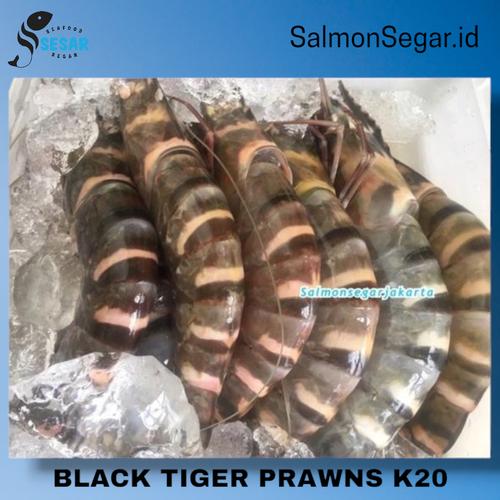 Jual Udang Windu Black Tiger AK 20 - Udang Tiger Pacet Segar Jumbo ...