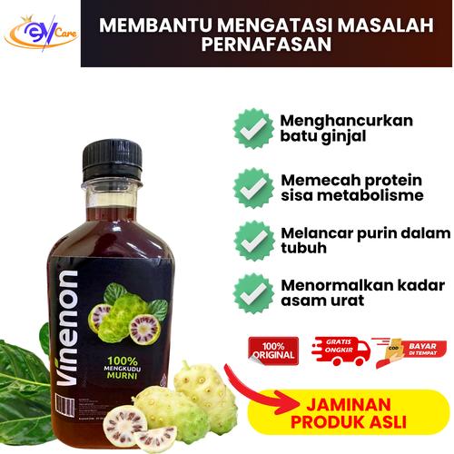 Jual Vinenon Cuka Mengkudu Obat Batu Ginjal Herbal Penghancur Batu ...