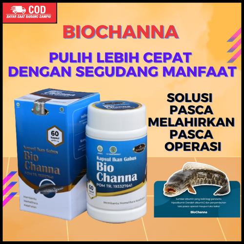 Jual Pil Kapsul Sari Ikan Gabus Kutuk Premium Pengering Luka Pasca ...