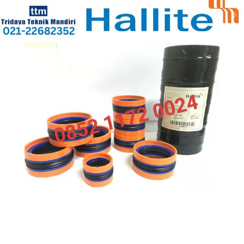 Jual Sealkit Hallite for Cylinder Hydraulic 40 x as 20 + Oring ...