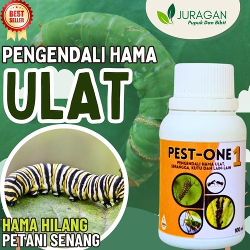 Jual Obat Semprot Hama Ulat Obat Insektisida Hama Ulat Obat Hama Ulat ...