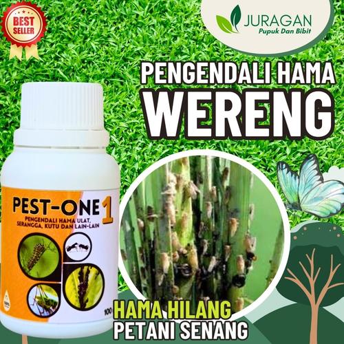 Jual Obat Hama Wereng Paling Ampuh Pembasmi Hama Wereng Padi PESTONE ...
