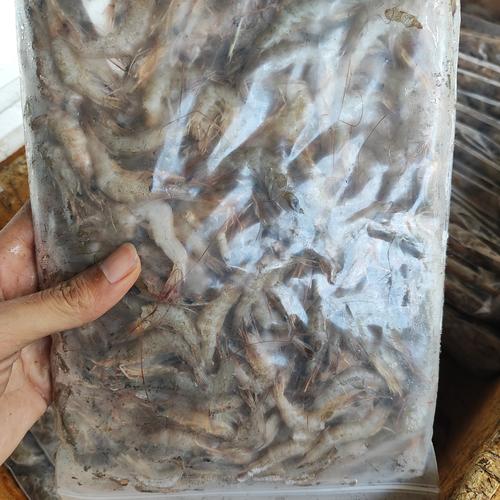 Jual UDANG API SEDANG / UDANG API BEKU 500GR / UDANG API MURAH / UDANG ...
