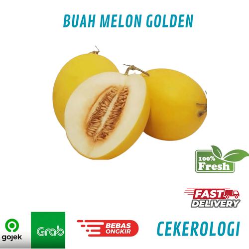 Jual Buah Melon Golden 1buah / Buah Melon Golden / Melon Golden Fresh ...