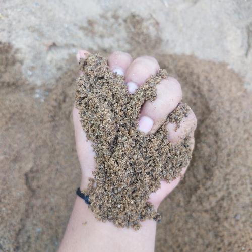 Jual Pasir Kalimantan A / Tayan daerah jakarta - Jakarta Utara - Trans ...