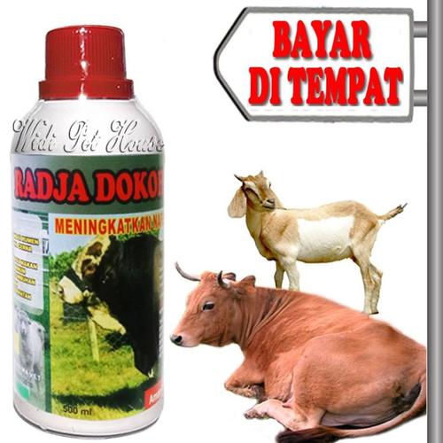 Jual Vitamin Sapi Penggemuk Ternak Kerbau Kambing Kuda Domba Raja Dokoh ...